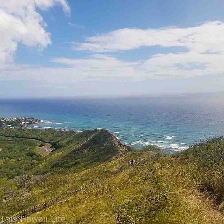 Diamond Head hike