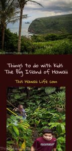 Family friendly Visit to the Big Island