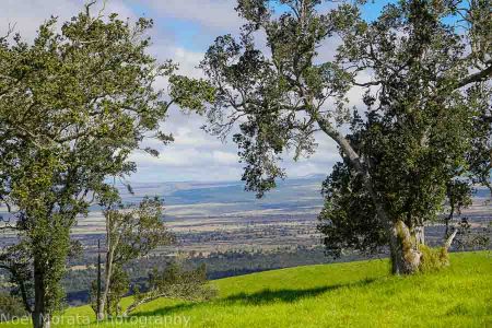 Big Island hike at Pu’uwa’awa’a - This Hawaii Life