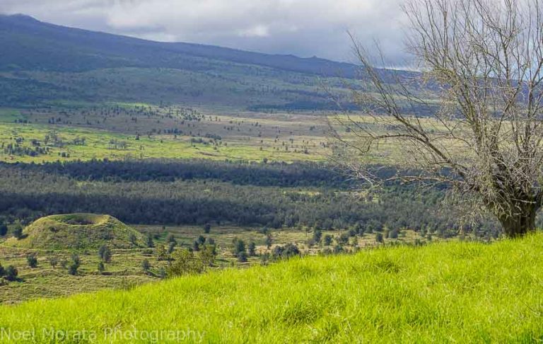 Big Island hike at Pu’uwa’awa’a - This Hawaii Life