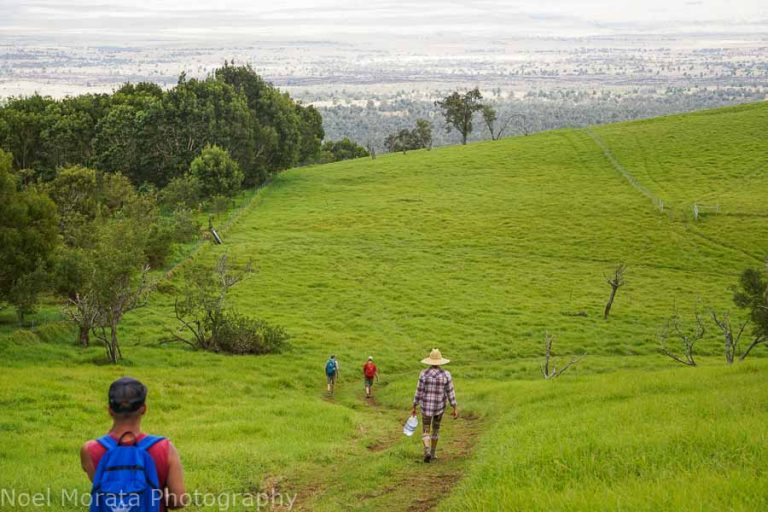 Big Island hike at Pu’uwa’awa’a - This Hawaii Life