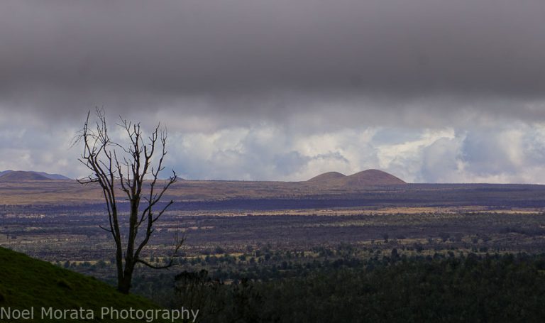 Big Island hike at Pu’uwa’awa’a - This Hawaii Life