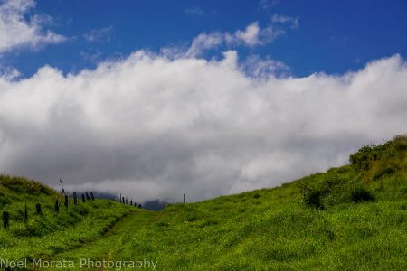 Big Island hike at Pu’uwa’awa’a - This Hawaii Life