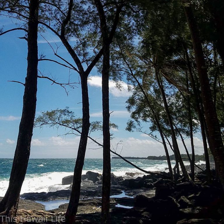 Big Island hike to Ha'ena Beach - This Hawaii Life