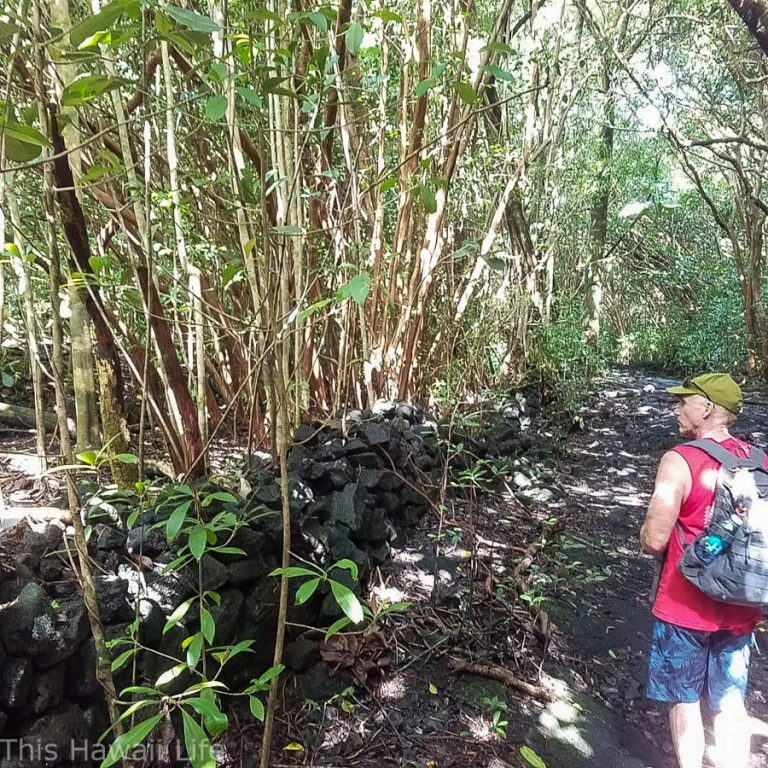 Big Island hike to Ha'ena Beach - This Hawaii Life
