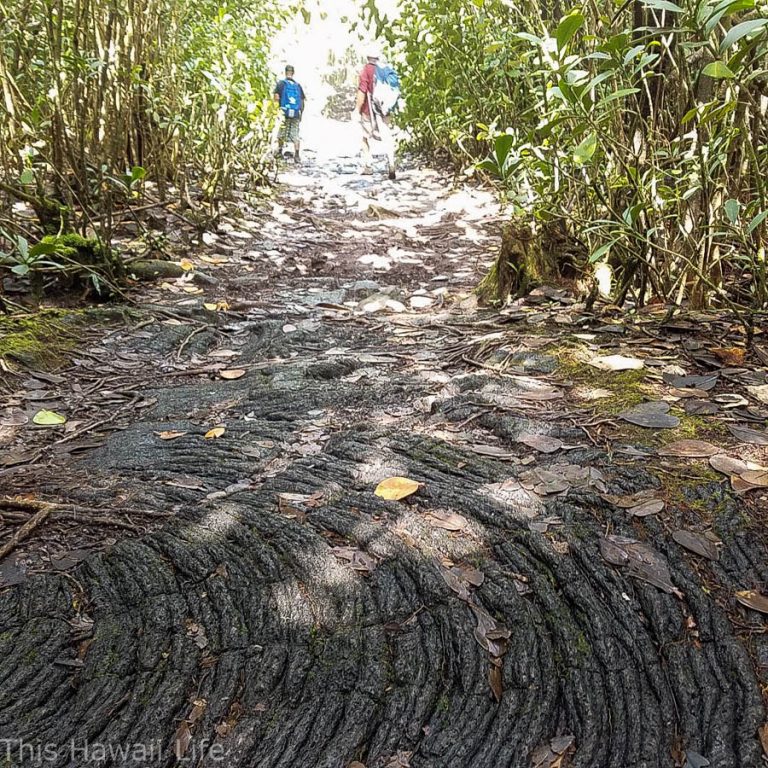 Big Island hike to Ha'ena Beach - This Hawaii Life