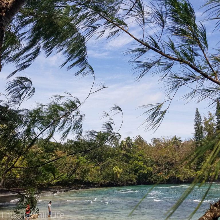Big Island hike to Ha'ena Beach - This Hawaii Life