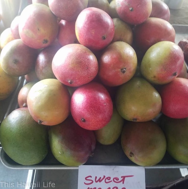 Mango season in Hawaii - This Hawaii Life