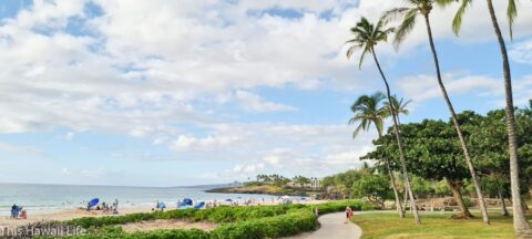 Hapuna Beach - This Hawaii Life
