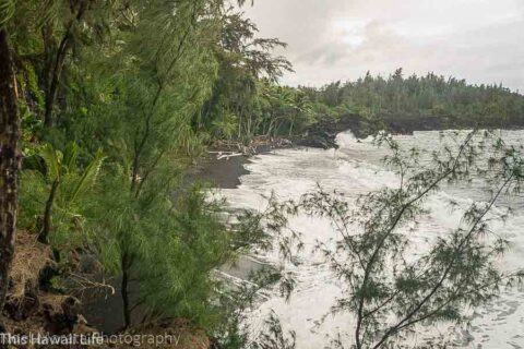 Puna - This Hawaii Life