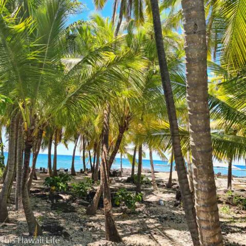 Miloli'i and Honomalino Beach - This Hawaii Life