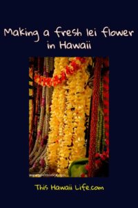Hawaiian Lei Flower | This Hawaii Life