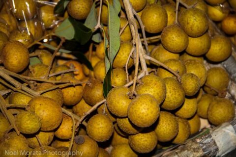 Easy to grow tropical fruit trees in Hawaii - This Hawaii Life