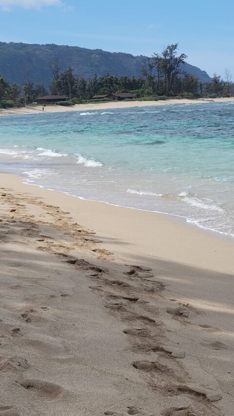 Visiting Hawaii in February - This Hawaii Life