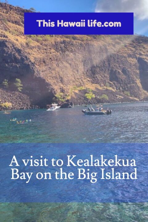 Kealakekua Bay, Kona Hawaii - This Hawaii Life